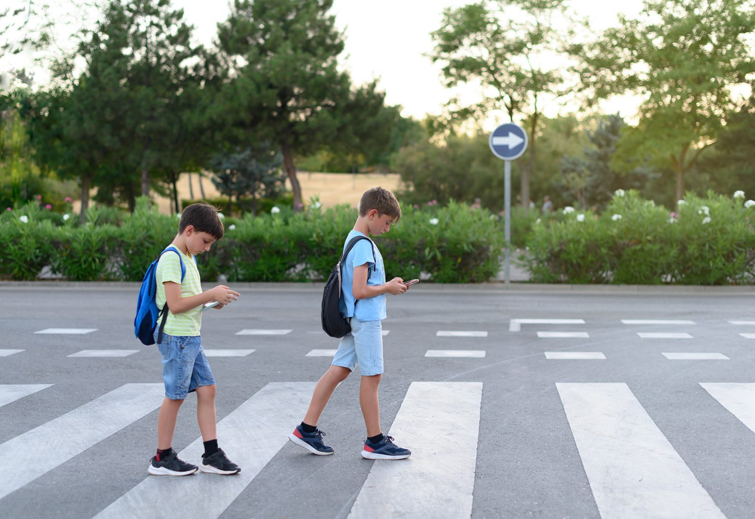 ¿Qué es un Smombie? Peligros como Peatón | Trenty