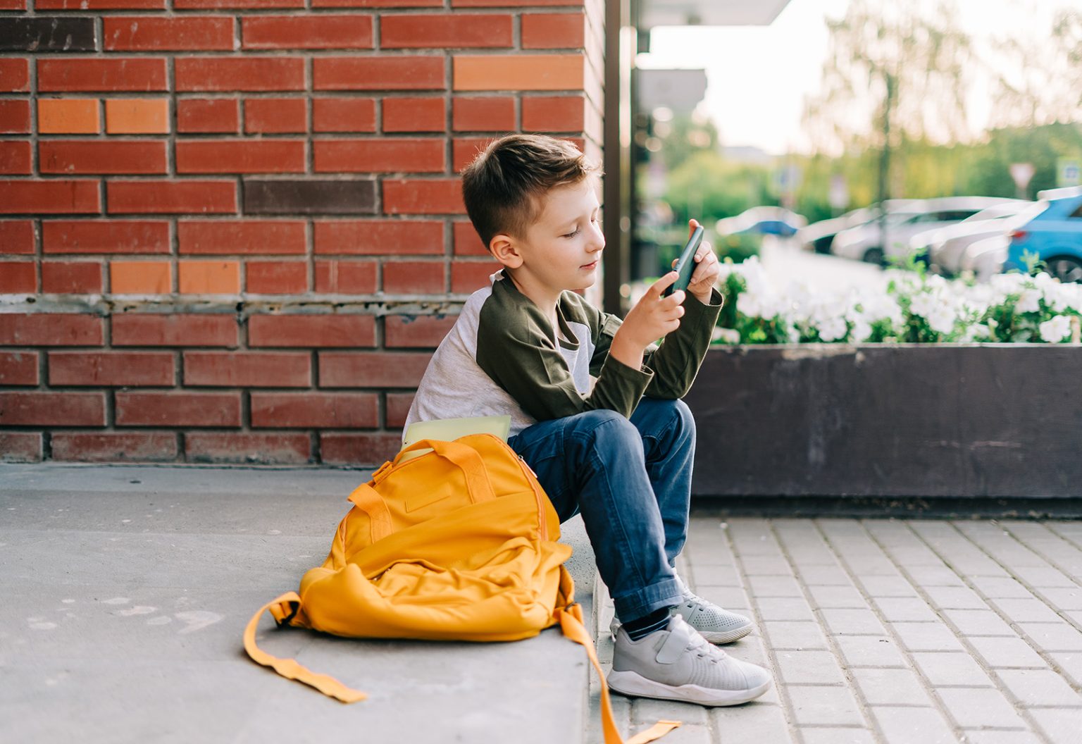 ¿Qué es un Smombie? Peligros como Peatón | Trenty